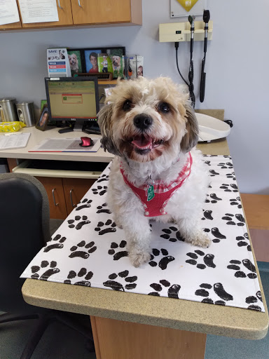 VCA Calvert Veterinary Center - Pet Training Average Rating: 4.3 & 177 ...